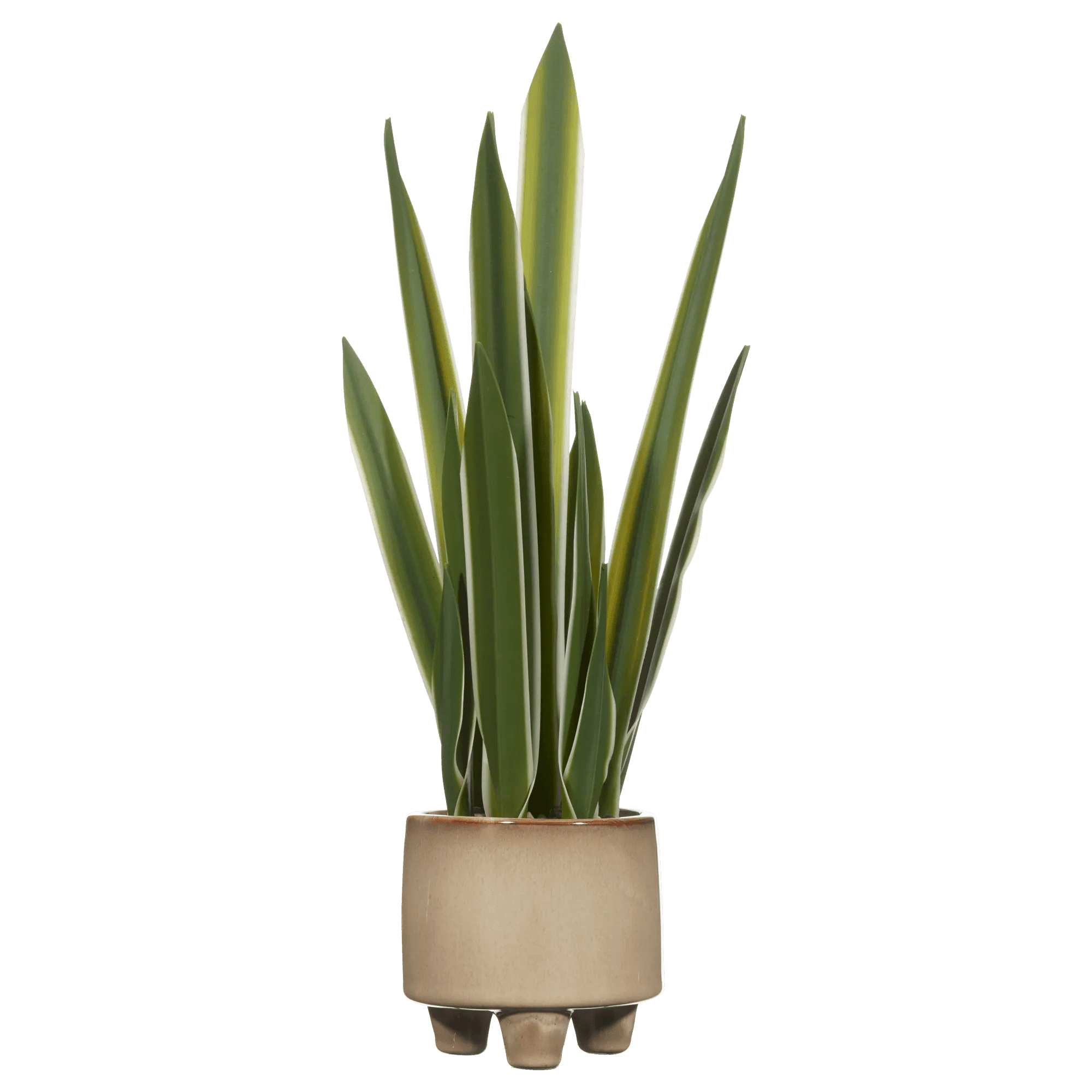 Click here for Bouclair Beige Artificial Yucca Leaf In Ceramic Po... prices