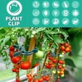 100 Pcs Sun-resistant Plant Clips: Flexible, for climbing plants ...