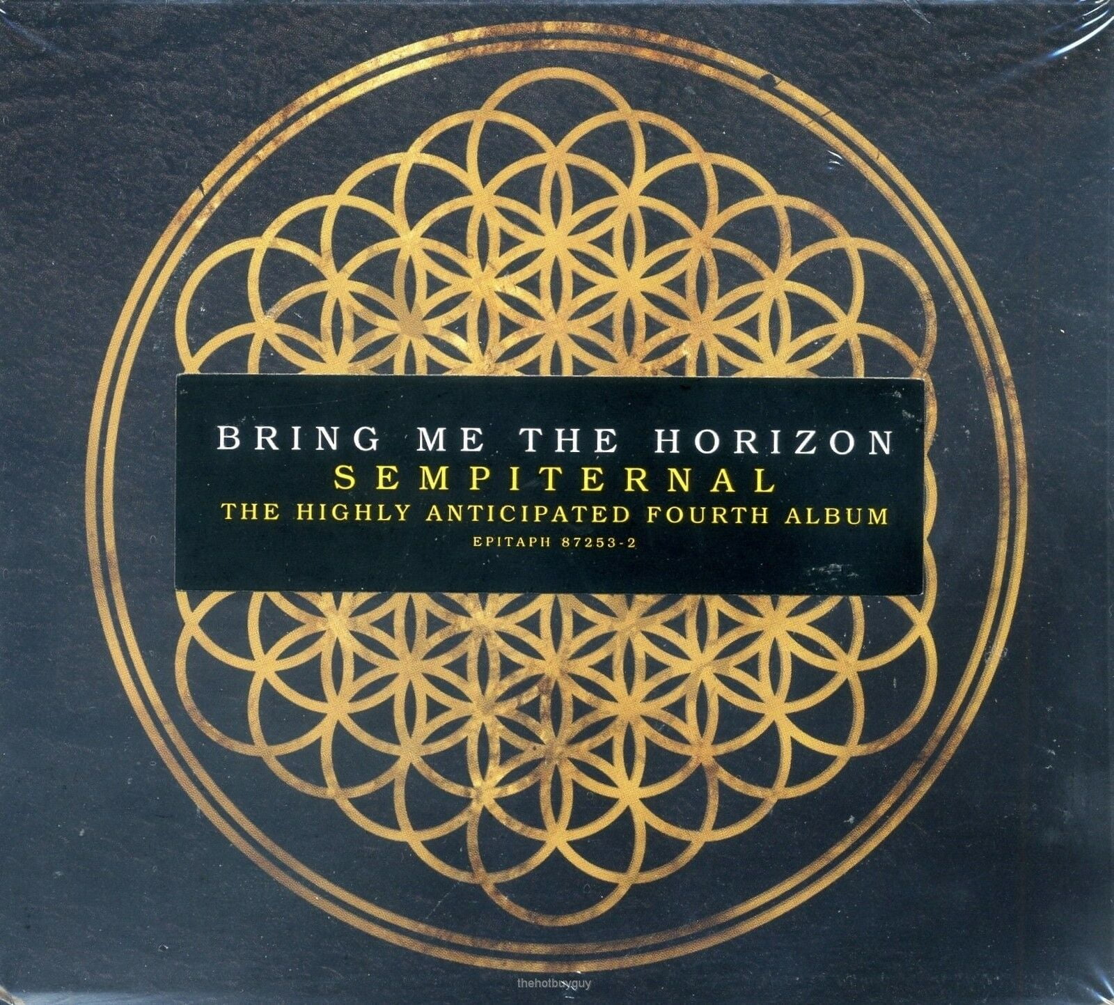 Bring Me The Horizon Sempiternal Album Cover