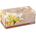 Premium Facial Tissues 230 Sheets Per Box, 2-Ply Soft Touch, Gentle and ...