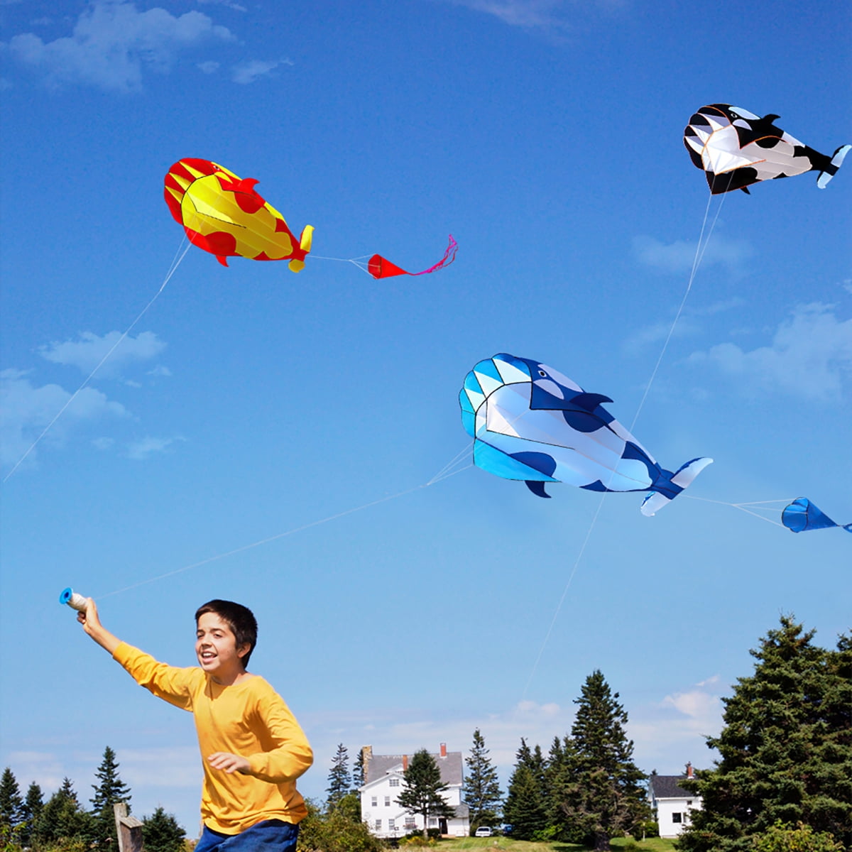 3Pcs Cartoon Whale Software Kite, Single Line Beach Park Kite with ...