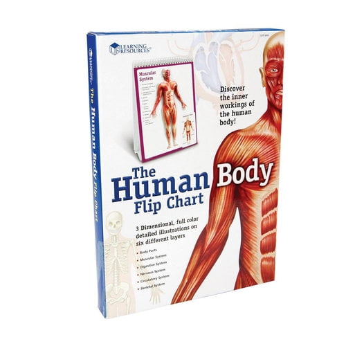 Human Body Flip Chart Book - Walmart.com