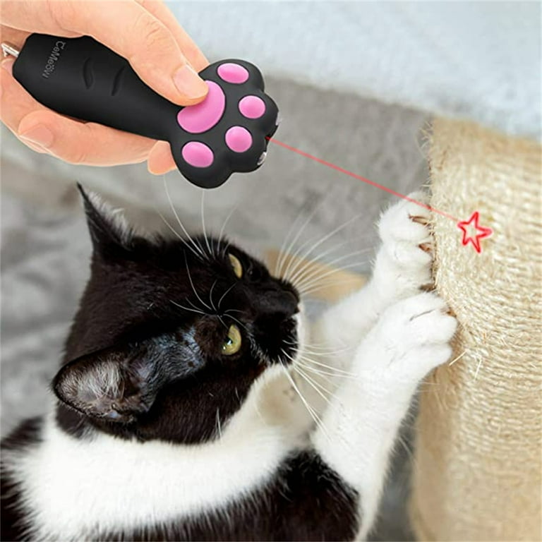 Laser Pens For Cats