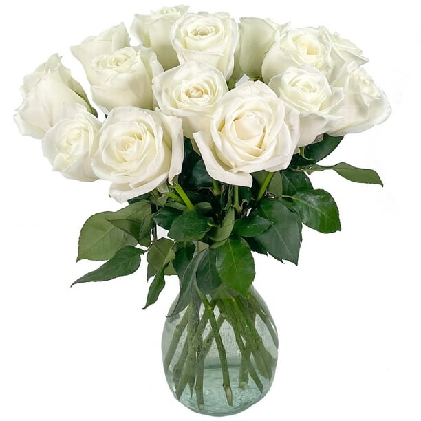 18 Fresh Cut White Roses by Arabella Bouquets with Free Elegant Hand ...