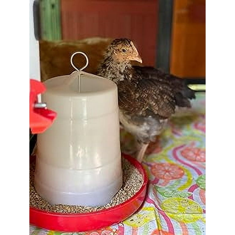 Quail Feeders And Waterers Homemade