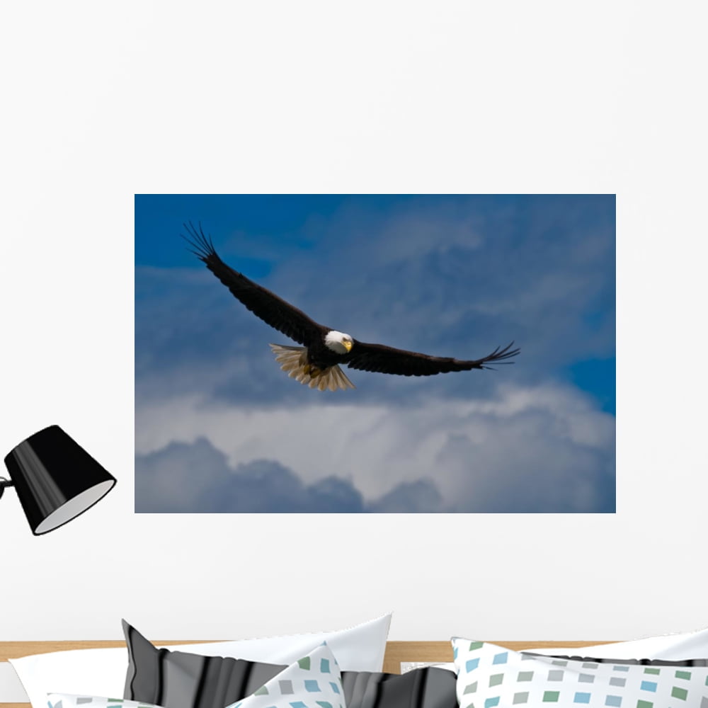 Bald Eagle Soaring Wall Mural by Wallmonkeys Peel and Stick Graphic (36 ...