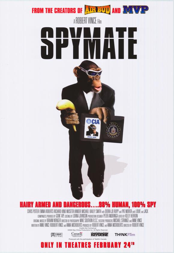 Spymate - movie POSTER (Style A) (27" x 40") (2003) - Walmart.com
