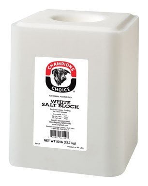 Champions Choice Plain White Salt Block 50 Lb. - Walmart.com