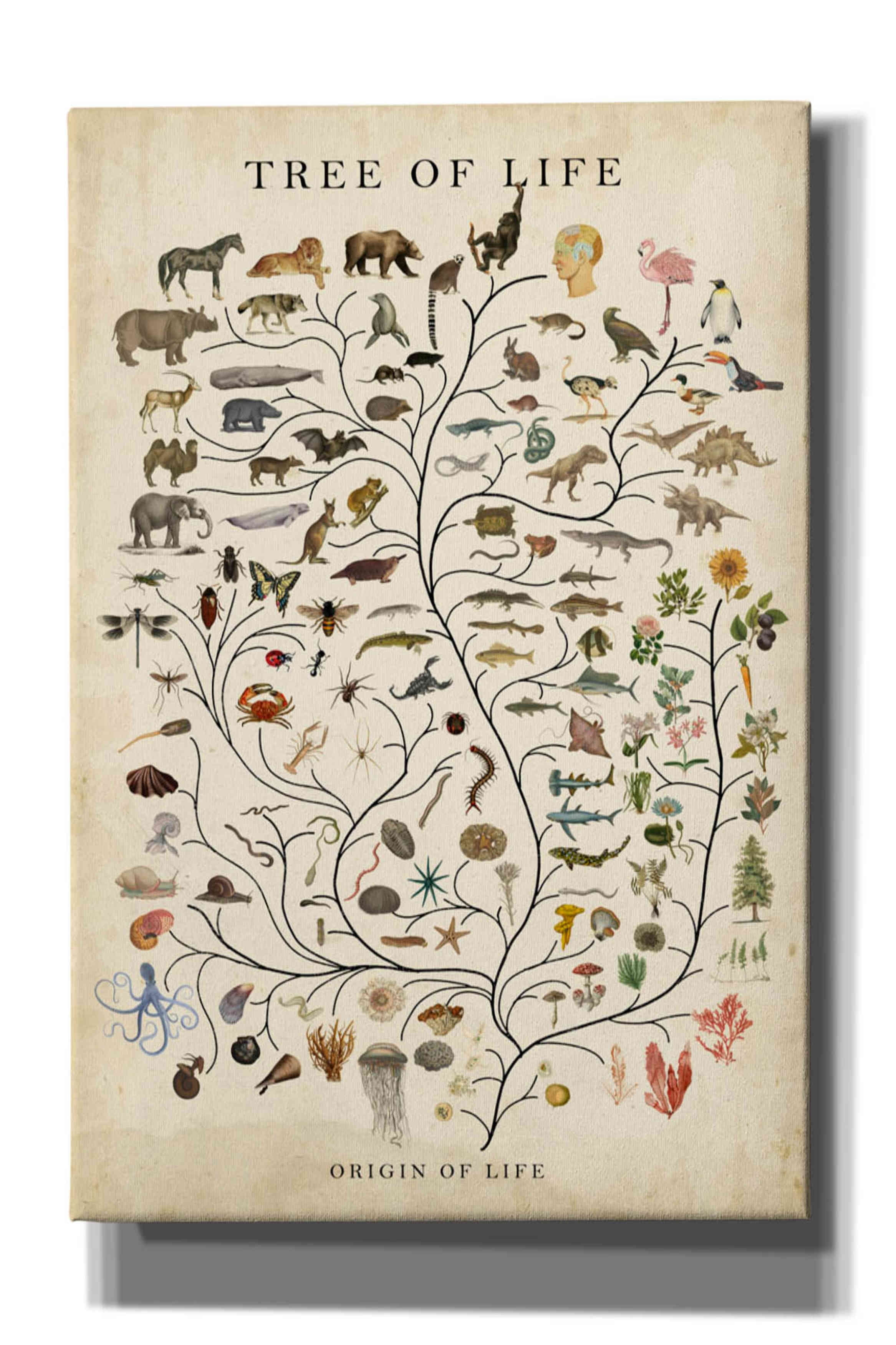 Epic Graffiti 'Tree of Life' by Studio W, Canvas Wall Art, 12"x18 ...