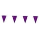 Purple Pennant Banner (100Ft) - 1 Piece - Walmart.com