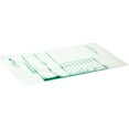 Quality Park Business Deposit Cash Transmittal Bags, Redi-Strip ...