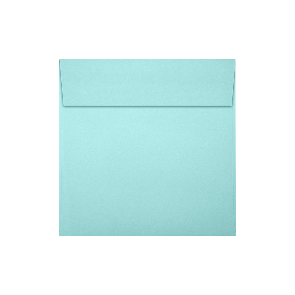 LUXPaper Square Peel Press Invitation Envelopes 5 1 2 X 5 1 2