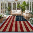 5'x7' Area Rugs, Anniversary USA Flag Indoor Outdoor Area Rug for ...