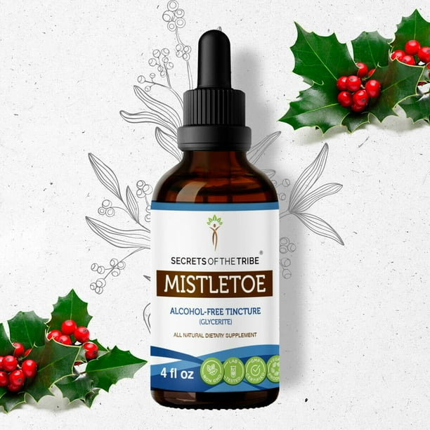 Mistletoe Tincture Alcohol-FREE Extract, Organic Mistletoe (Viscum ...