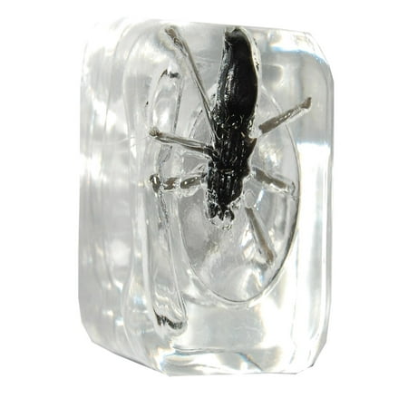 Bar Bug Ice Cube | Walmart Canada