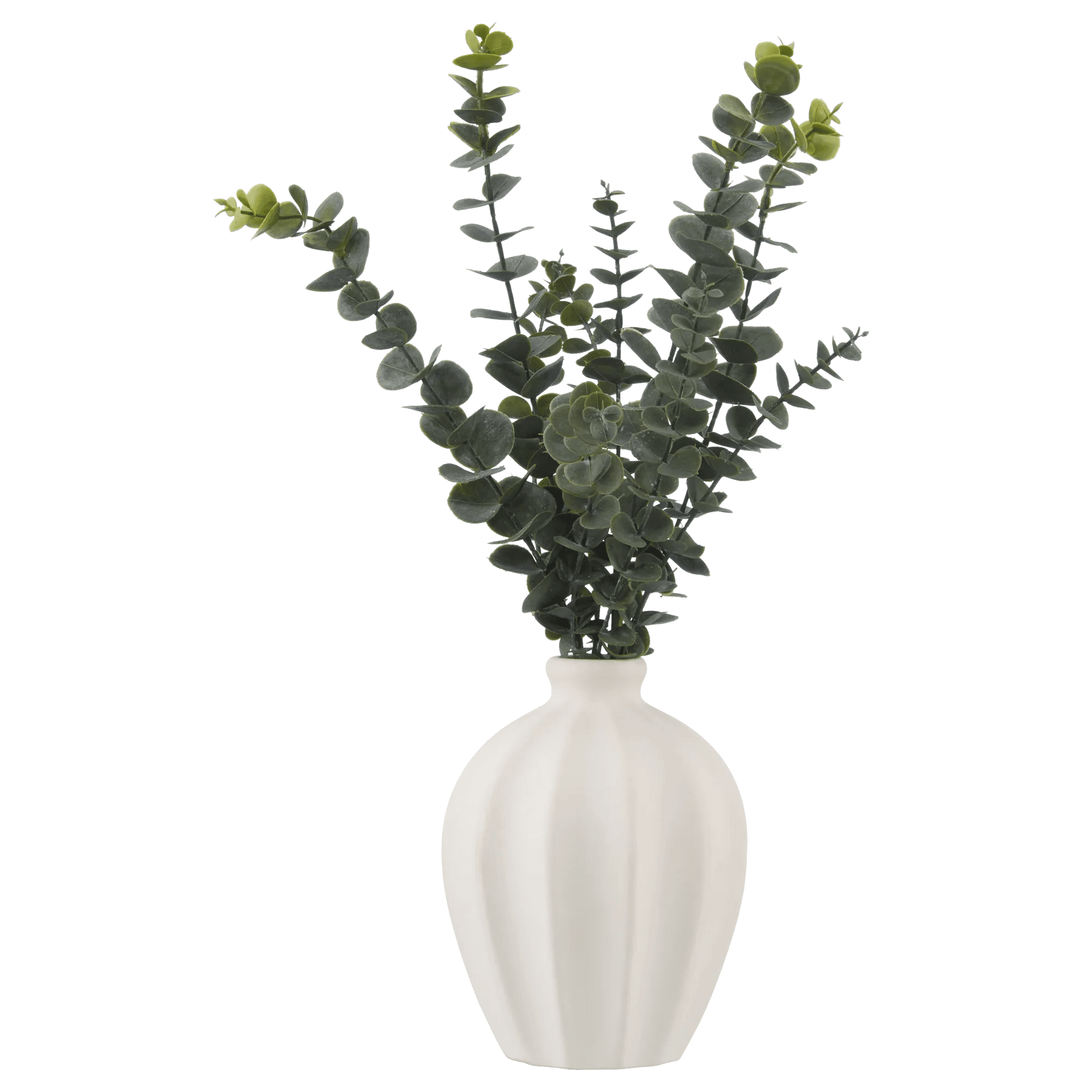Click here for Bouclair Eucalyptus In Ceramic Vase prices
