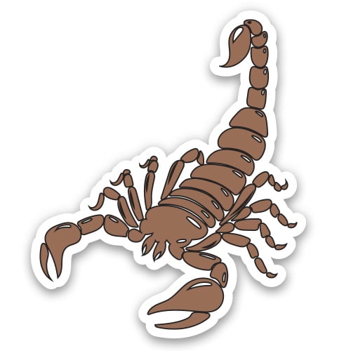 Scorpion - 12" Vinyl Sticker Waterproof Decal - Walmart.com