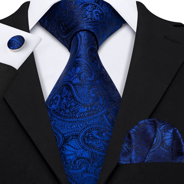 Barry.Wang Classic Ties for Men Formal Business Wedding Solid Paisley ...