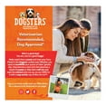 Dogsters Ice Cream Style Cheesy Bac'n Flavor Frozen Treats for Dogs 3.5 ...