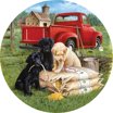 SUNSOUT INC - Bloodlines - 500 pc Jigsaw Puzzle by Artist: Marcella ...