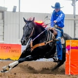 Breyer Horses The Traditional Series - Amberley Snyder's ATP Power ...