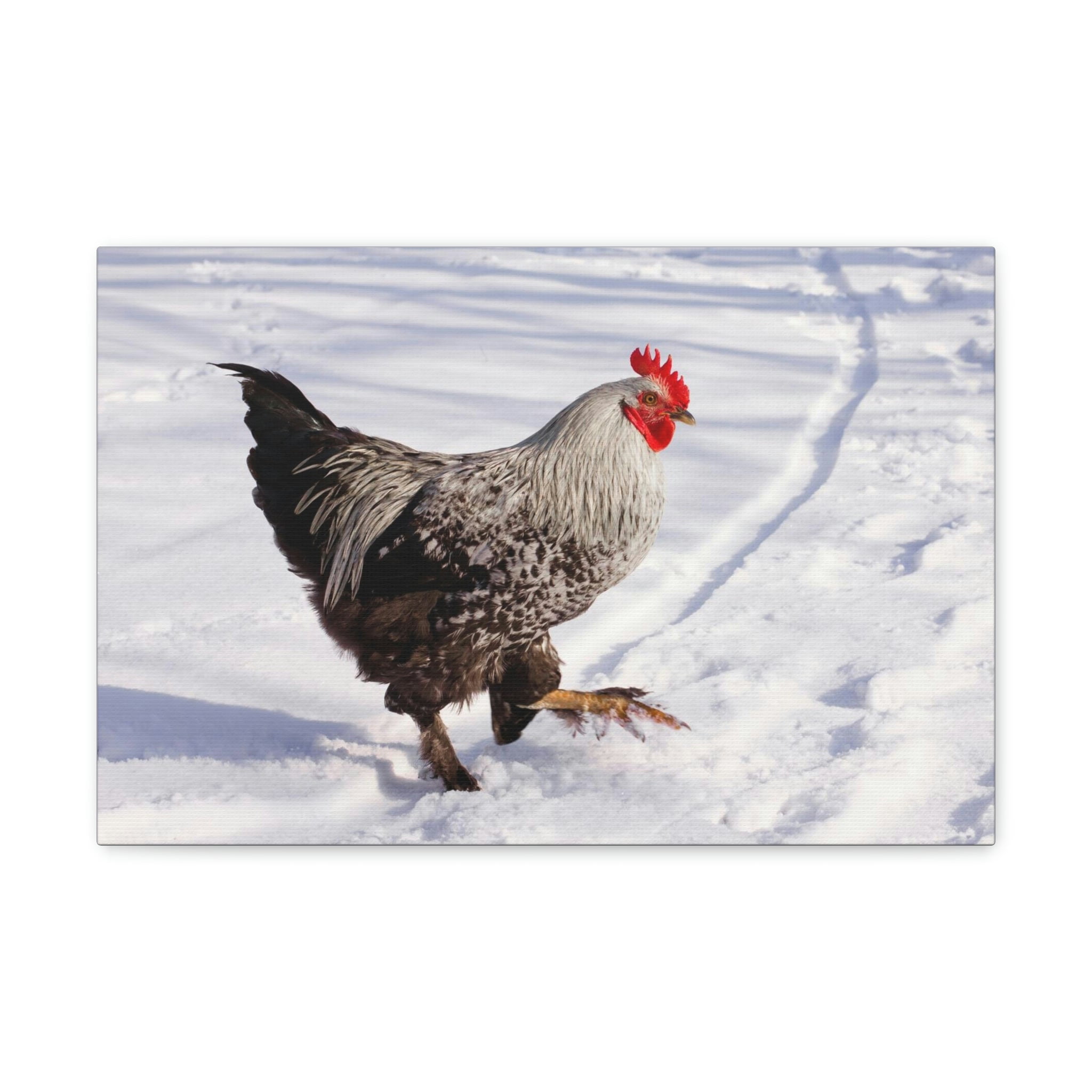 Rooster Hunting Rooster on Hunt Print Animal Wall Art Wildlife Canvas ...