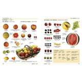 DK Bilingual Visual Dictionaries: Spanish-English Bilingual Visual ...