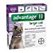Advantage Flea Control for Cats and Kittens Over 9 lbs 4 Month Supply ...