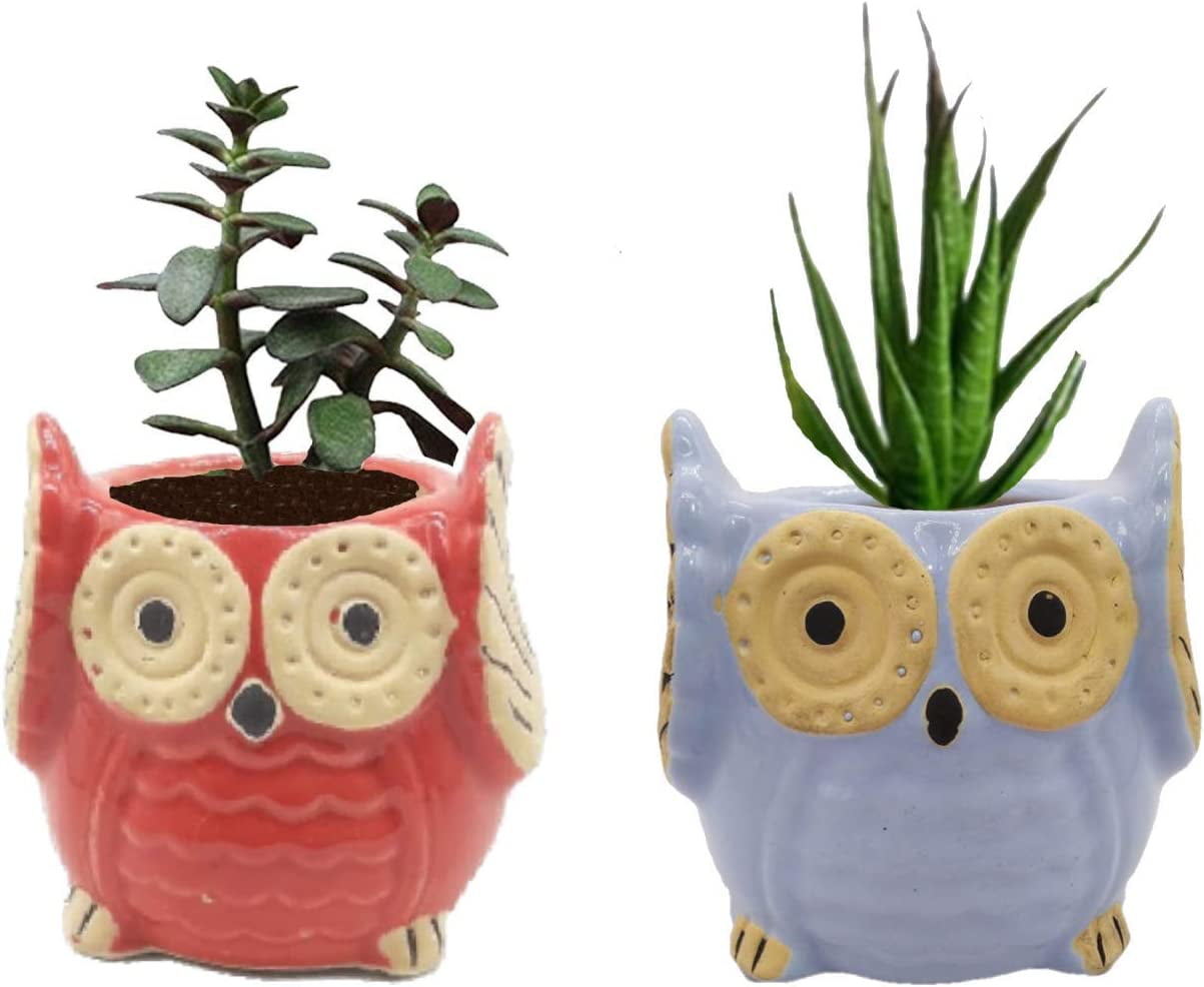 India Meets India Ceramic Planter, Owl Shaped [Purple & RED - 3.5 inch ...