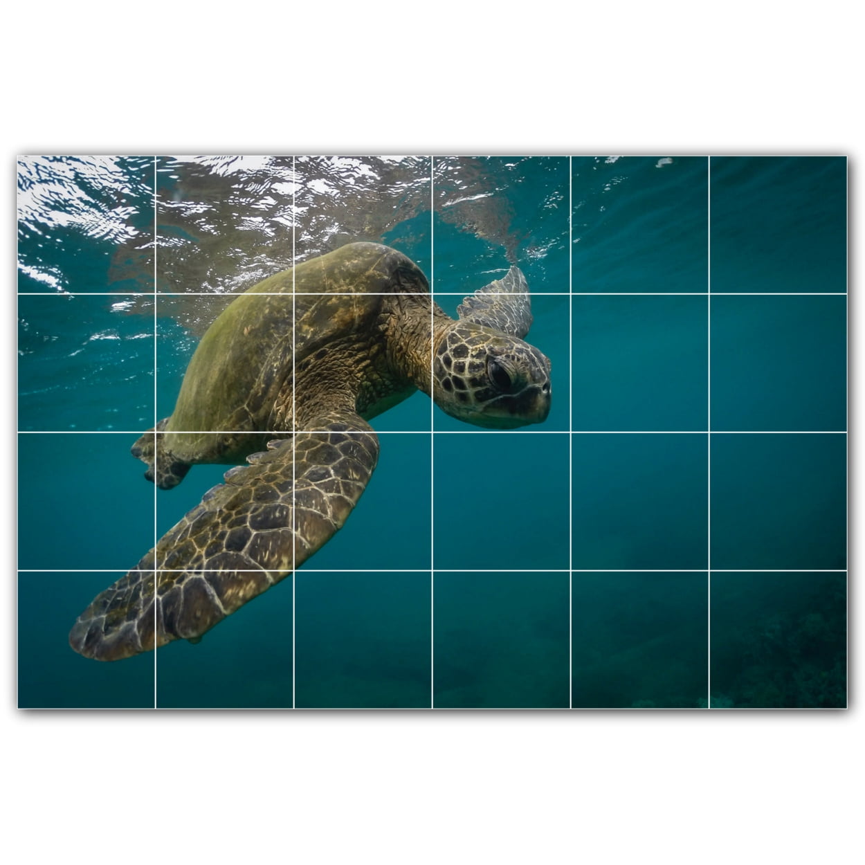Picture-Tiles.com: Turtle Ceramic Tile Wall Mural WAL501080-64L. 48"W x ...
