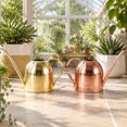 Watering Can For Indoor 450ml/15oz Metal - Walmart.com