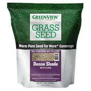 Americas Favorite Falcon IV Tall Fescue Grass Seed, 50 lbs - TWCA ...