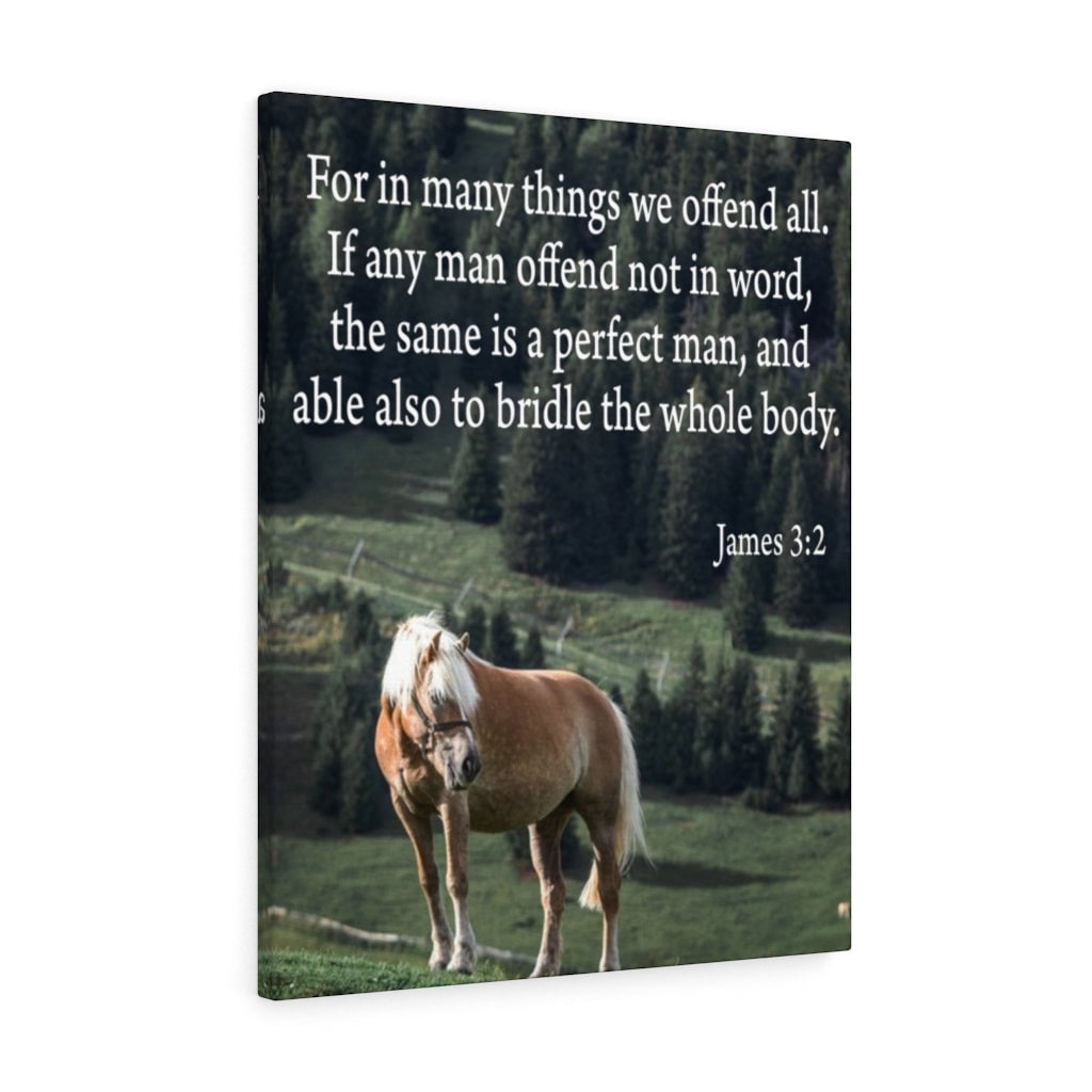 Scripture Walls For in Many Things We Offend All James 3:2 Scripture ...