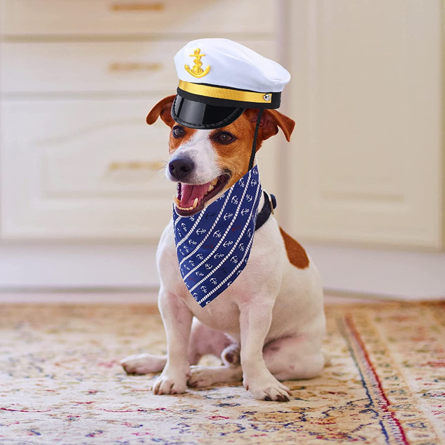 Sailor Dog Dress