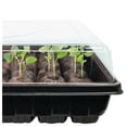 JIFFY SEED STARTING KIT 72 expanding Peat Pellet, Greenhouse seedling ...