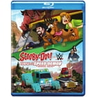 Scooby-Doo!: Wrestlemania Mystery / The Flintstones and WWE: Stone Age Smackdown! (DVD ...