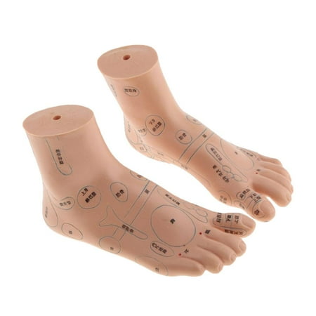 2 Pieces Foot reflexology massage model TCM Feet Reflexology | Walmart ...
