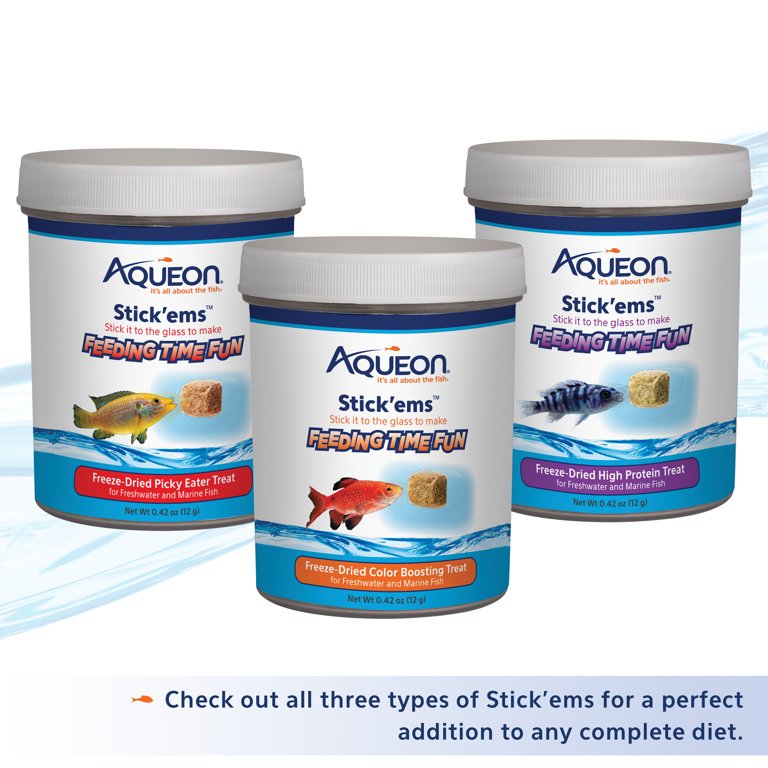 Types Of Pet Fish At Walmart