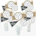 Big Dot of Happiness Bump, Set, Spike - Volleyball - Baby Shower or ...