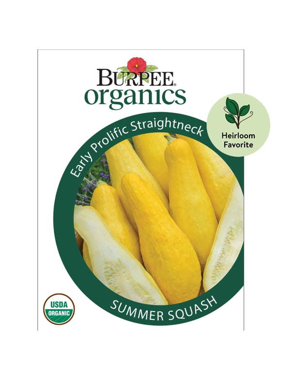 Squash Seeds in Seed Gardening - Walmart.com