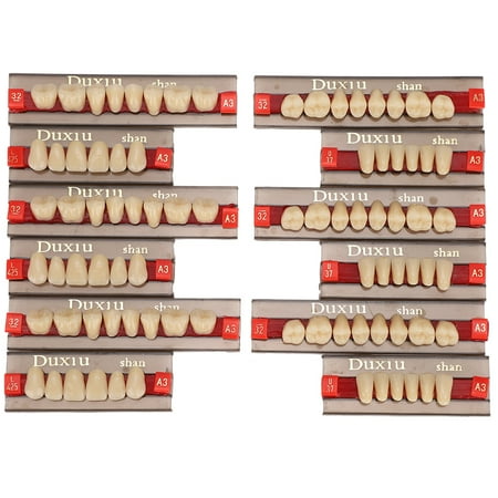 LYUMO Complete Denture False Tooth Synthetic Resin Teeth A3 Color Tooth ...