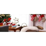 Peanuts Charlie Brown Assorted Colors Decorated Pine Christmas Trees, 1 ...