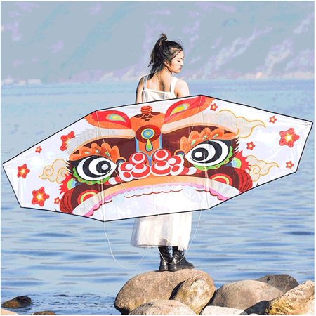 Beach Kites Lion Dance Head Kite with Tail,Huge Beginner Kite for ...