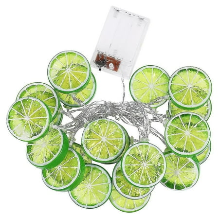 Osaladi Lime Slice String Light 3 Meters 20 Leds Battery Powered Light ...