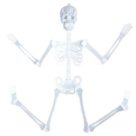 Jasmine Halloween Luminous Skeleton Decor Full Body Movable Joints ...
