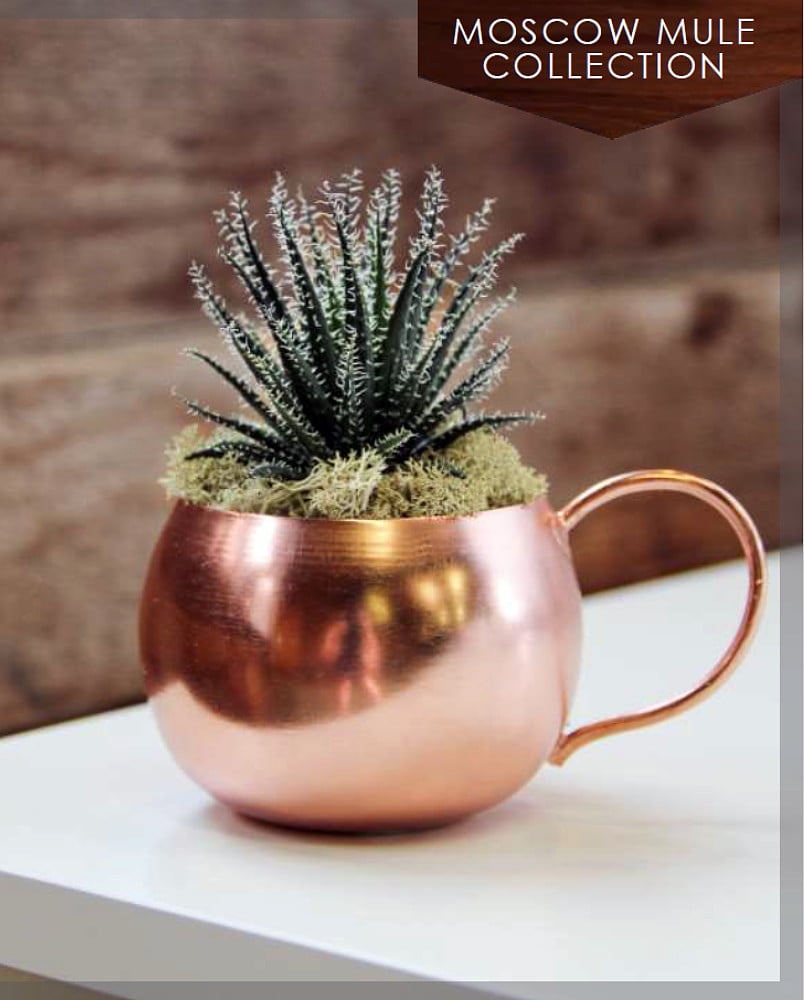 Copper Moscow Mule Planter with Live Plant - 6 x 3.5 x 5.5" - Live ...