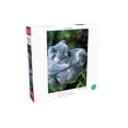 Buffalo Games - Earthpix - Bear Hug - 500 Piece Jigsaw Puzzle - Walmart.com