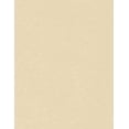 8 1/2 x 11 Cardstock - Tan (250 Qty.) - Walmart.com