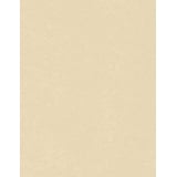 8 1/2 x 11 Cardstock - Tan (250 Qty.) - Walmart.com