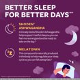 Sleep And Shine Sleep Soundly Capsules 30 Count Clinically Tested